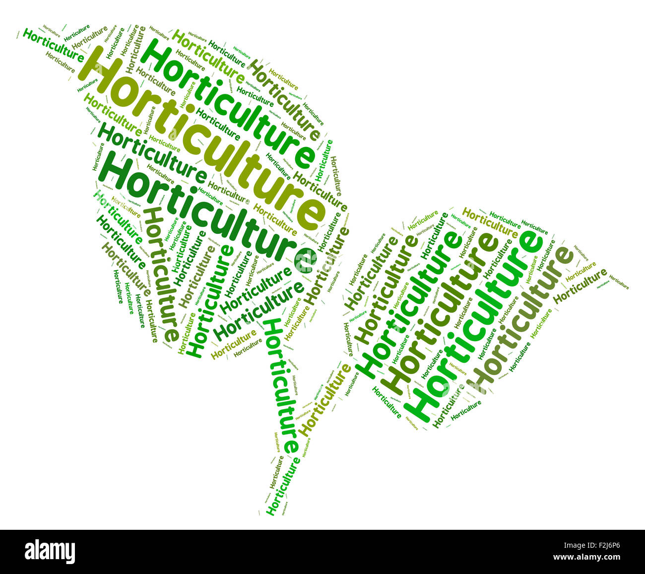 Backyard gardens Cut Out Stock Images & Pictures - Alamy