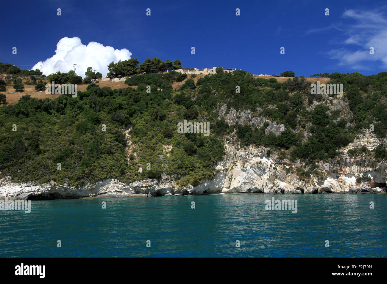The flower of the East - Zakynthos Stock Photo - Alamy