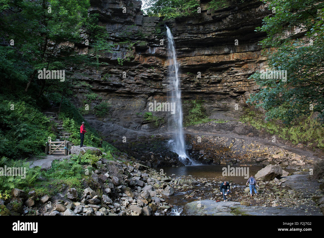 Hardraw Force is a waterfall in a wooded ravine just outside village of ...