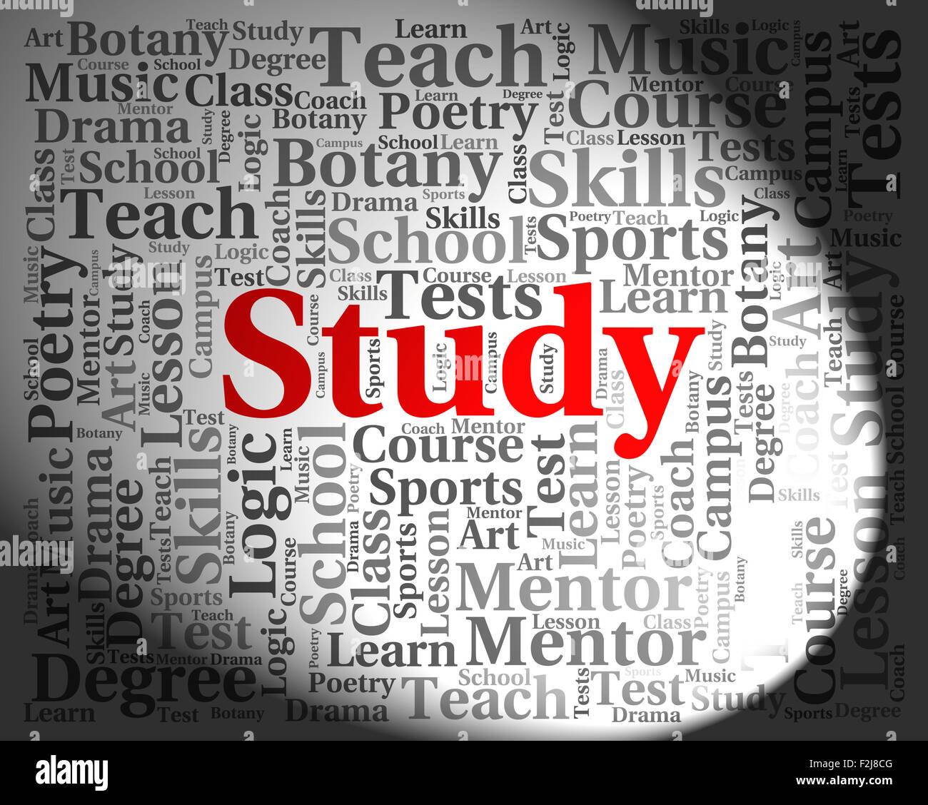 Study Word Indicating Learning Educated And College Stock Photo - Alamy