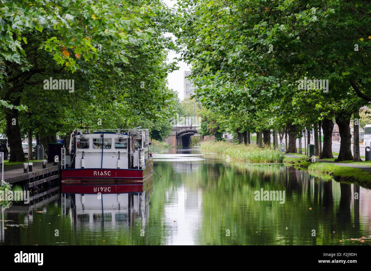 Dublin canal bridge hi-res stock photography and images - Alamy