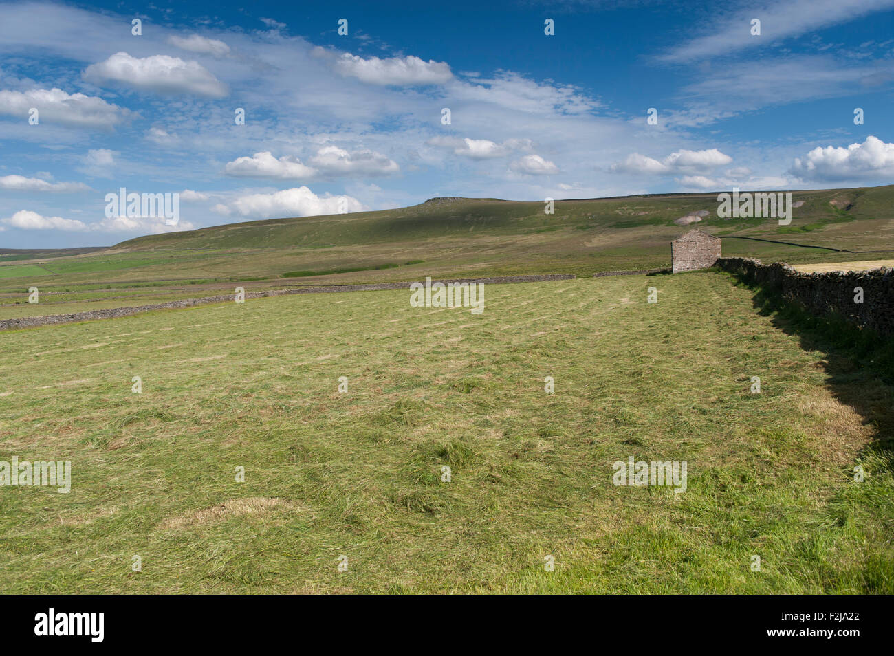 Mowed hi-res stock photography and images - Alamy