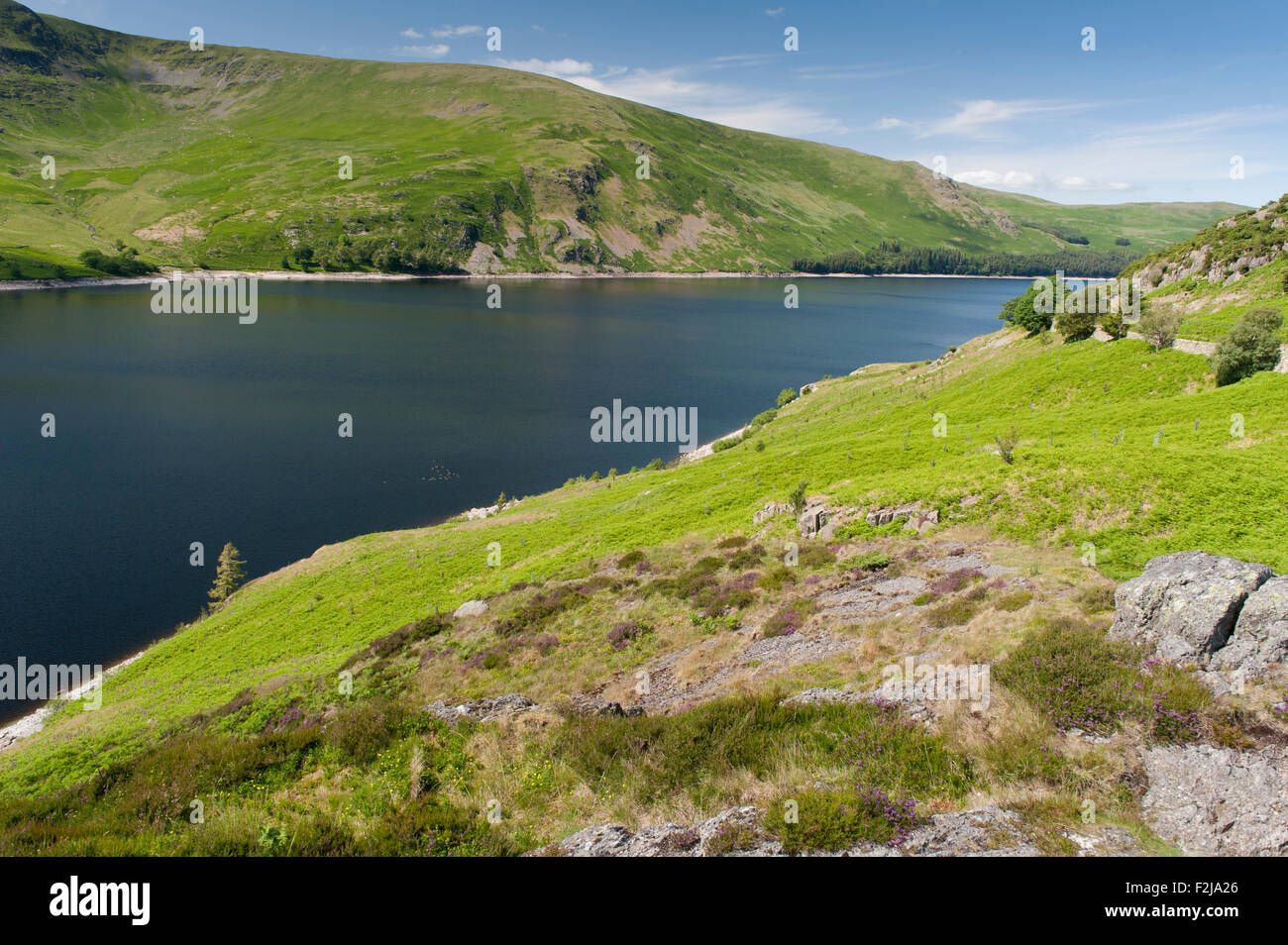 Summer haweswater lake district national hi-res stock photography and ...