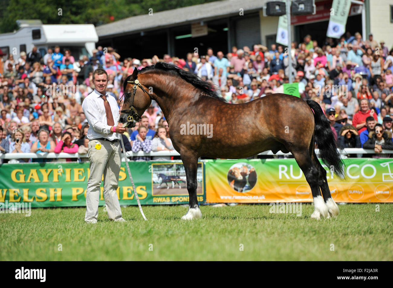 2015-royal-welsh-show-hi-res-stock-photography-and-images-alamy