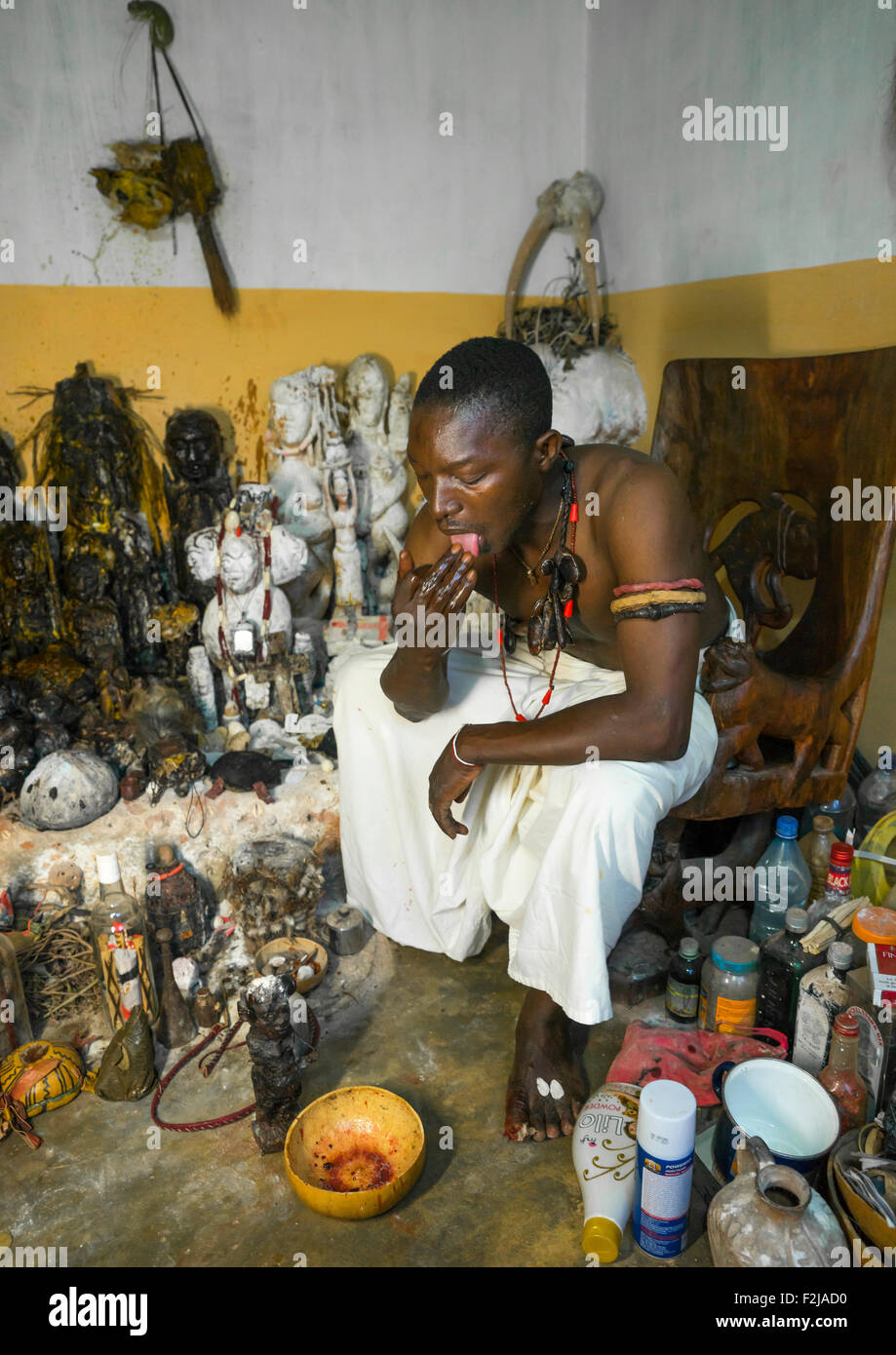 Benin, West Africa, Bonhicon, kagbanon bebe voodoo priest licking some ...