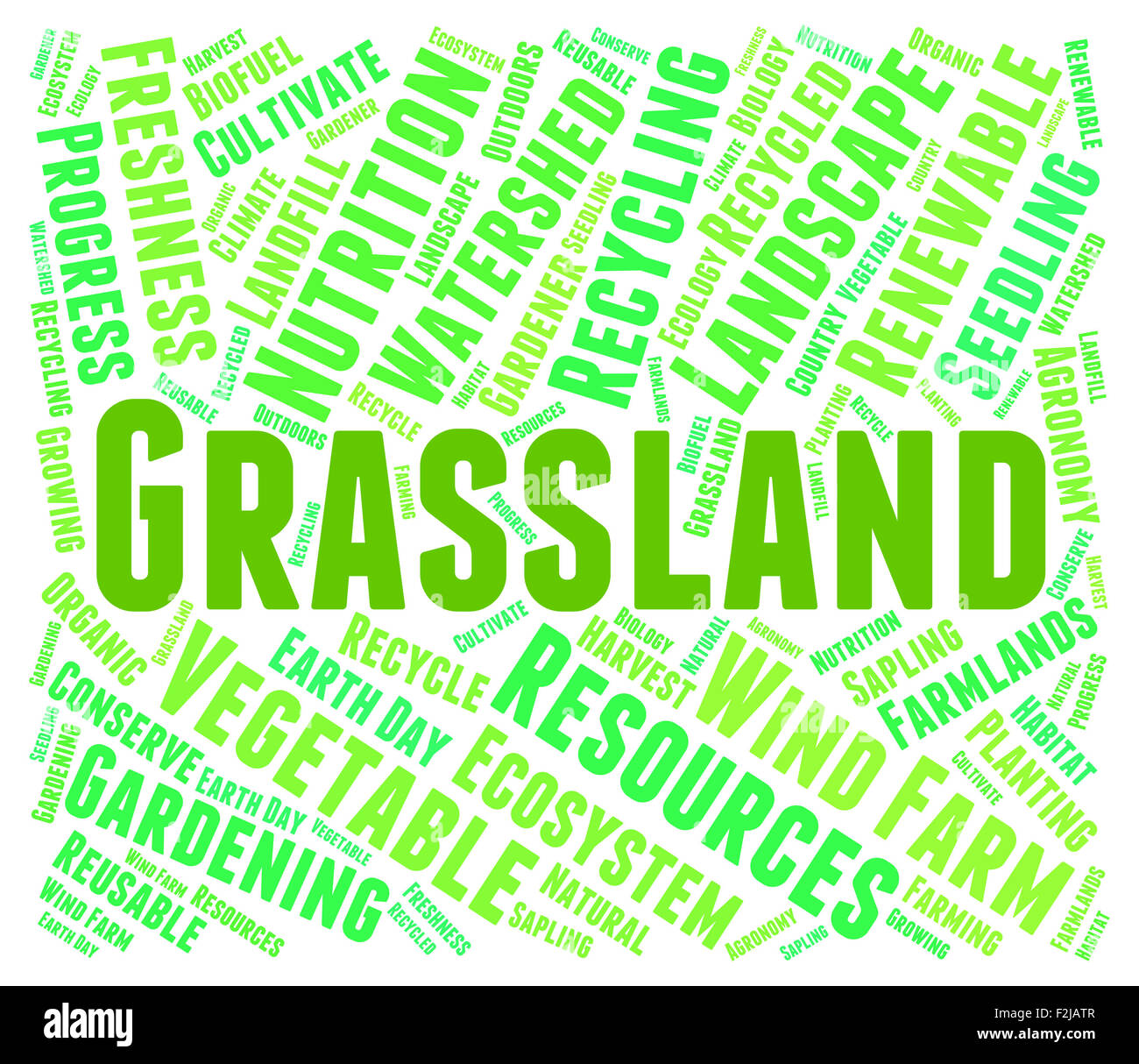 Grassland Word Indicating Prairies Meadow And Prairie Stock Photo - Alamy