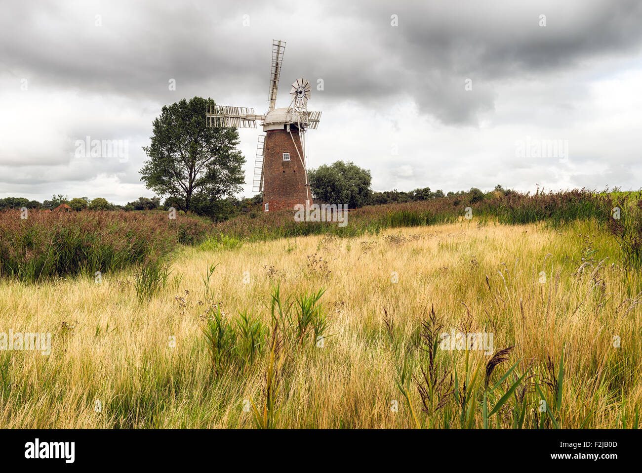 Hardley windmill on the Norfolk Broads Stock Photo - Alamy
