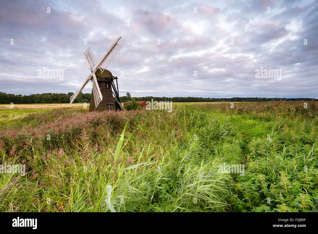 Dusk at Herringfleet Windmill on the Suffolk side of the Norfolk broads ...