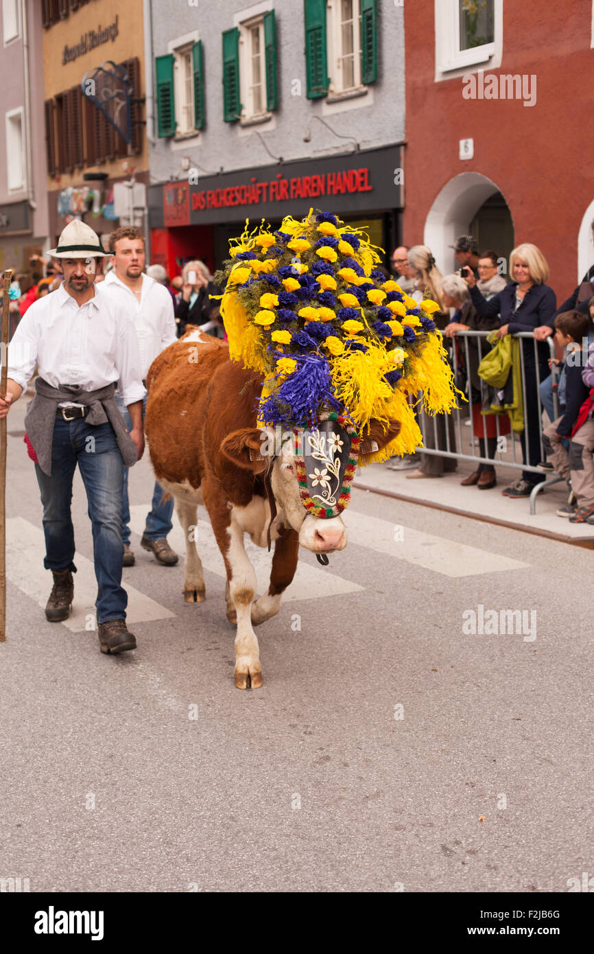 Kufstein / Austria / Tirol-September 19: farmer with Decorated cows at ...