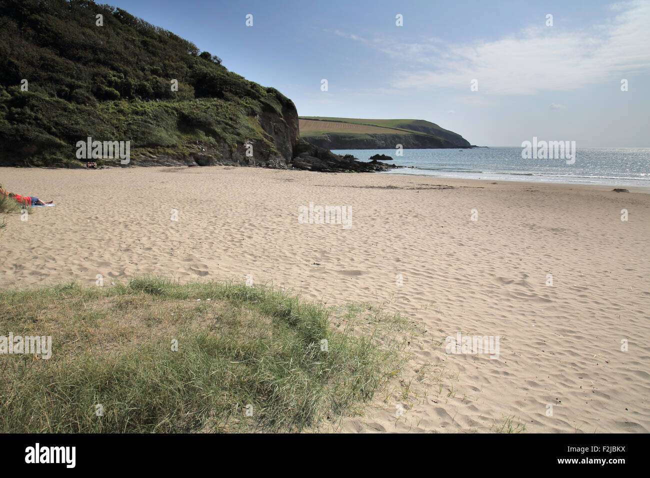 Mothecombe devon hi-res stock photography and images - Alamy