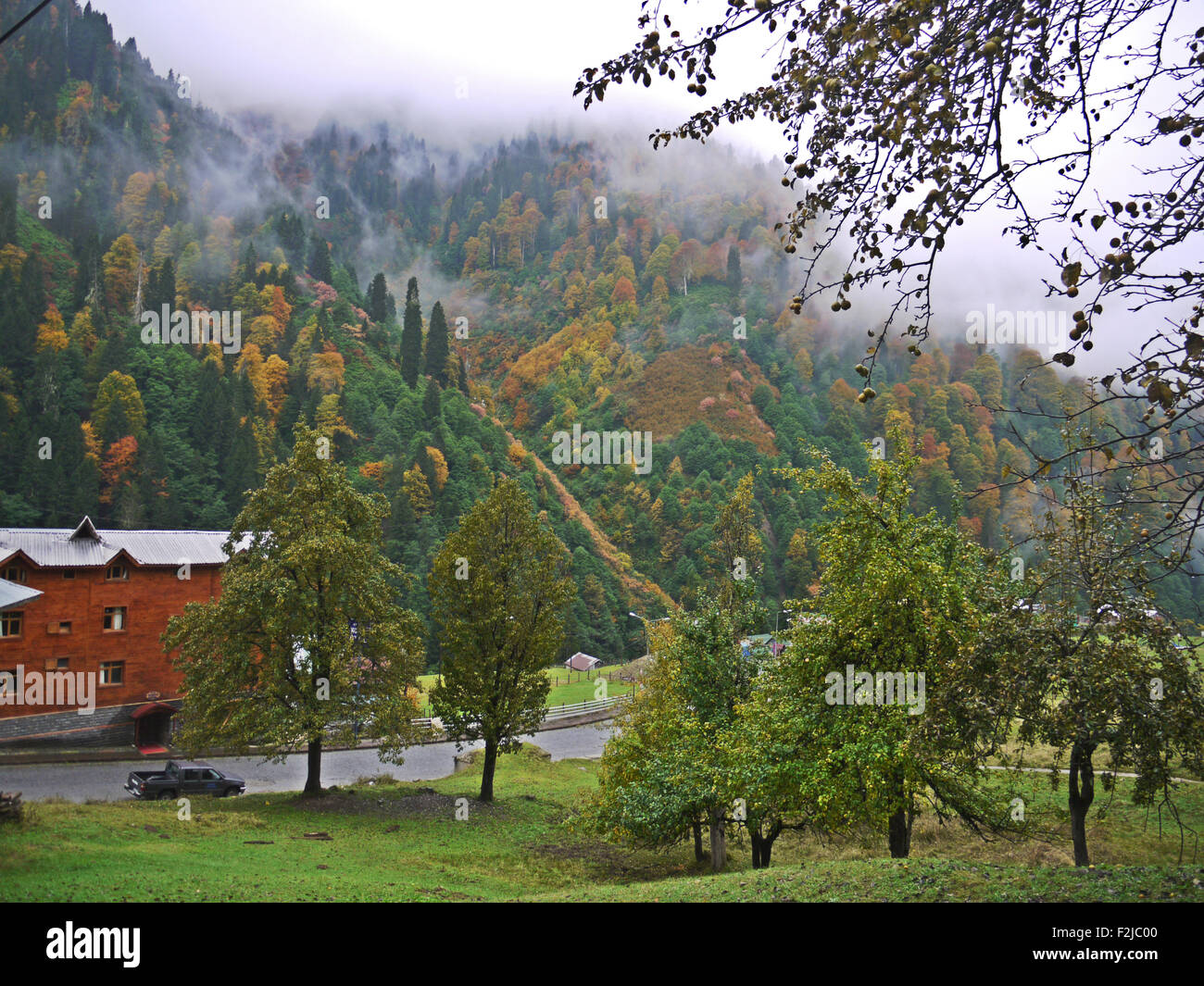 Turkey, Trabzon Province, a water stream Stock Photo - Alamy
