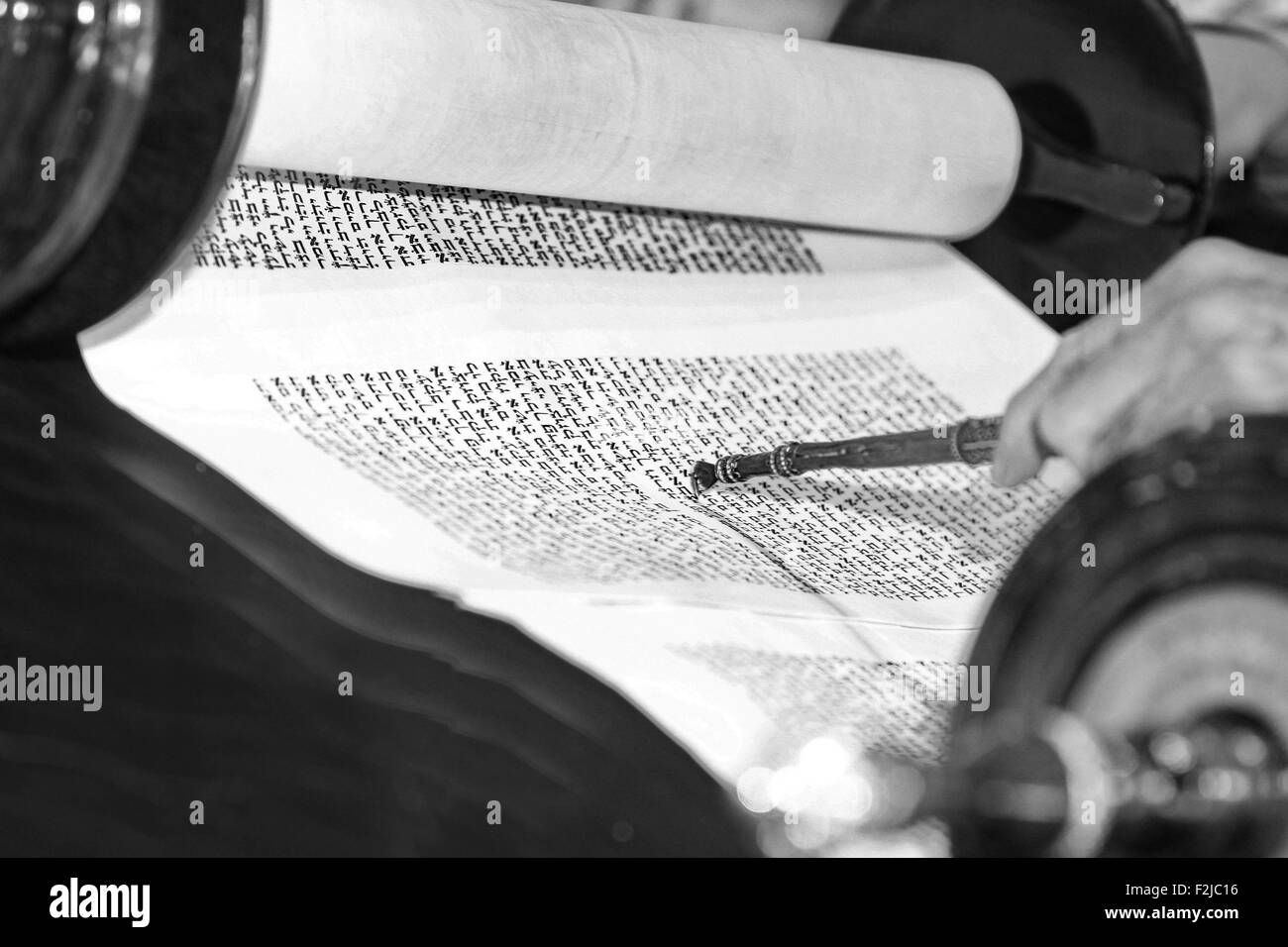 Reading the Torah scrolls Stock Photo - Alamy