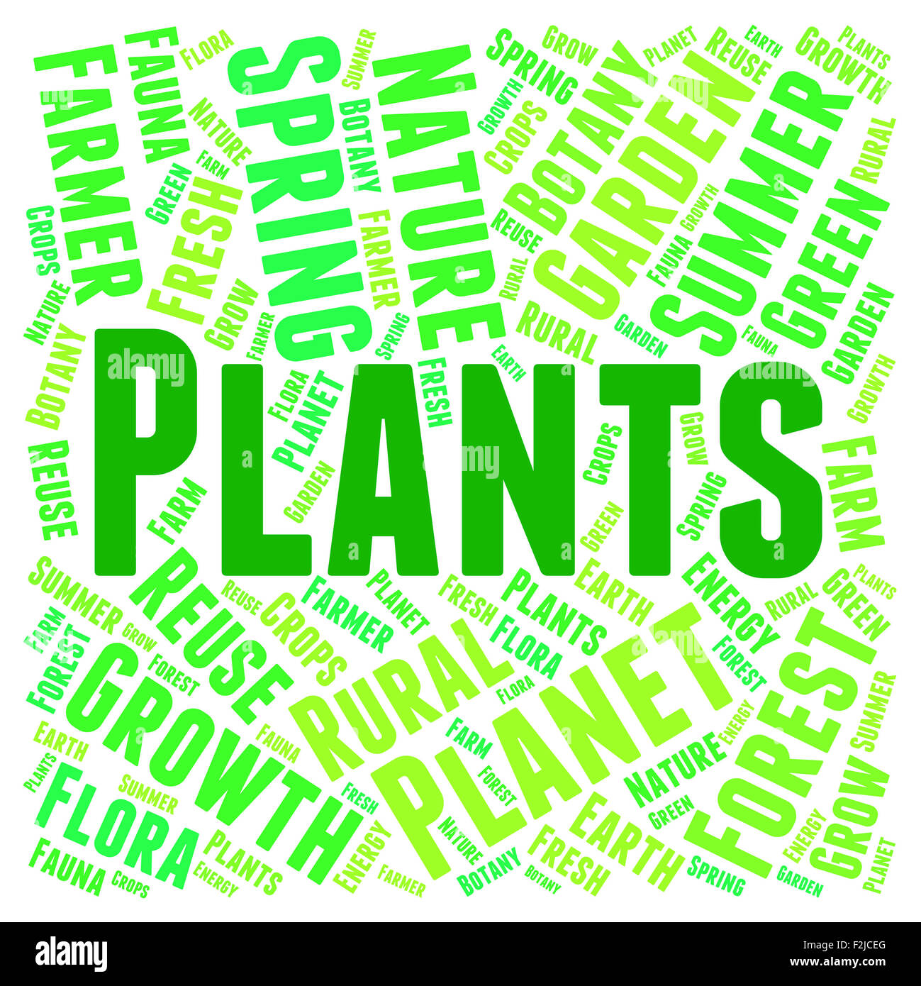 Plants Word Representing Flora Verdure And Foilage Stock Photo - Alamy