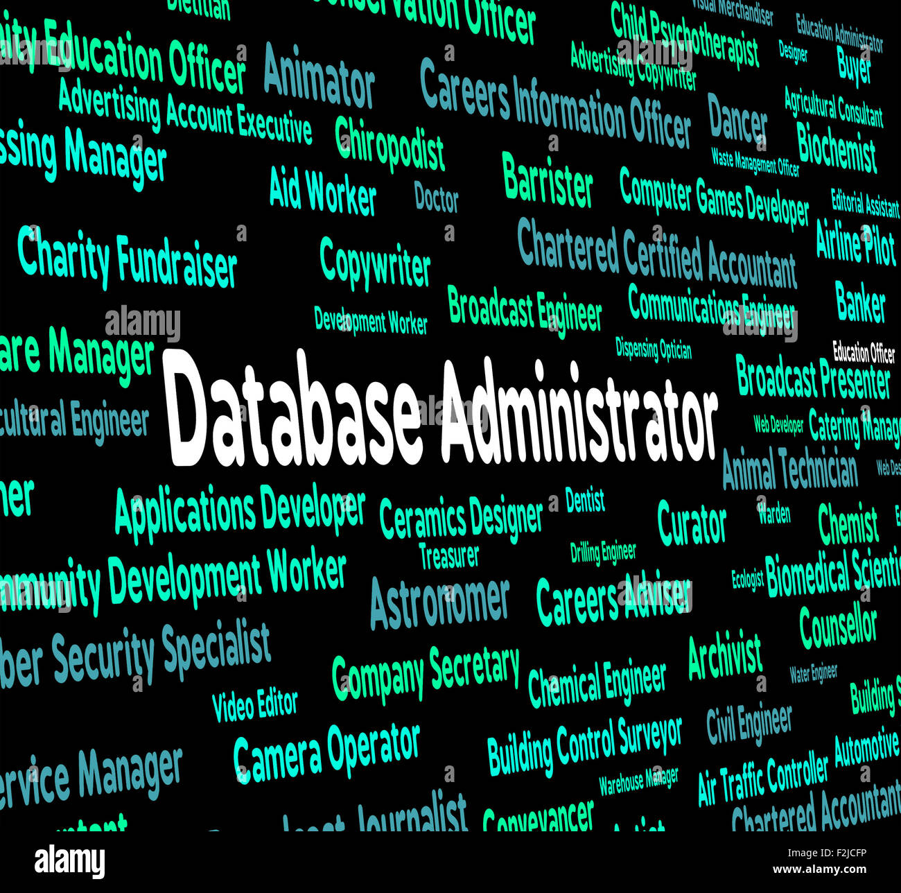 Database Administrator Representing Recruitment Head And Computing ...