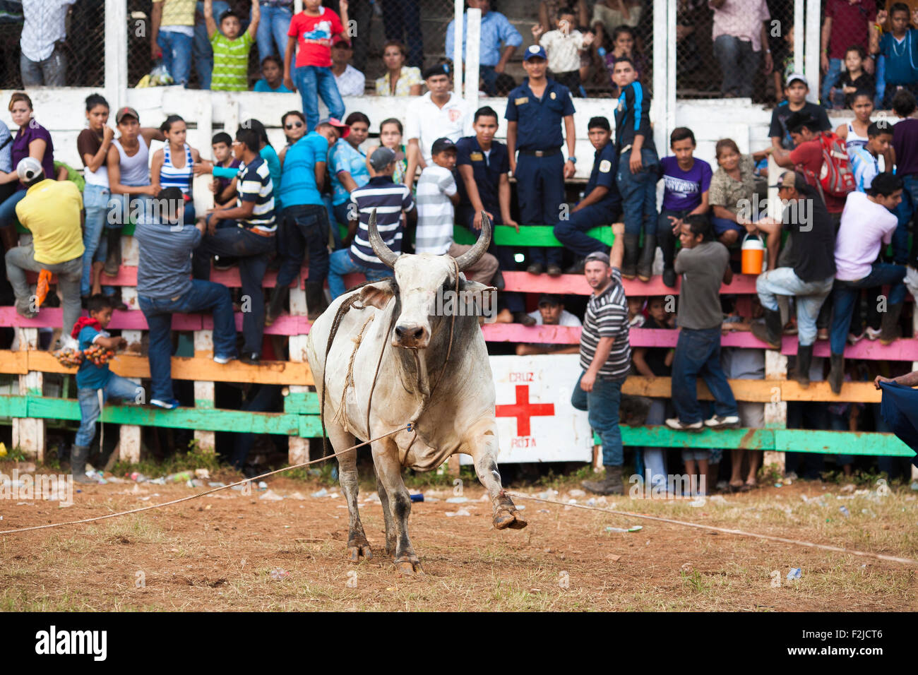 Kabakahan Festival