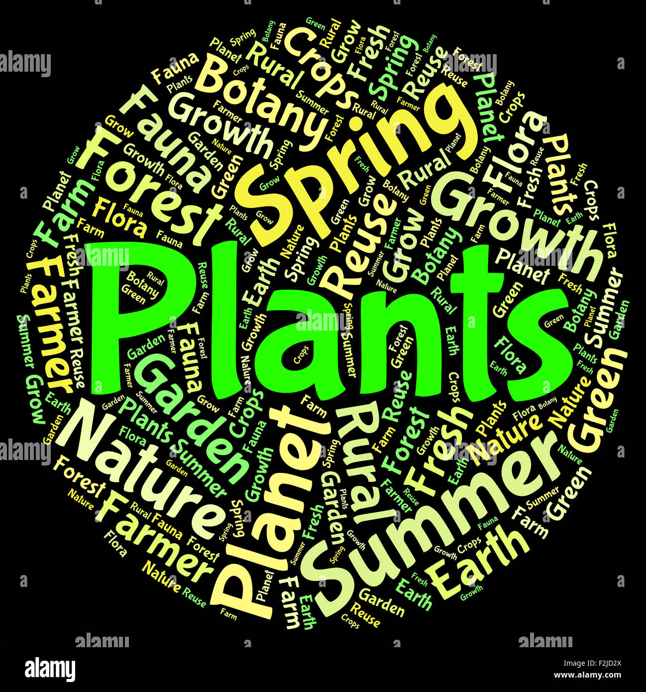 Plants Word Showing Botany Verdure And Flora Stock Photo - Alamy