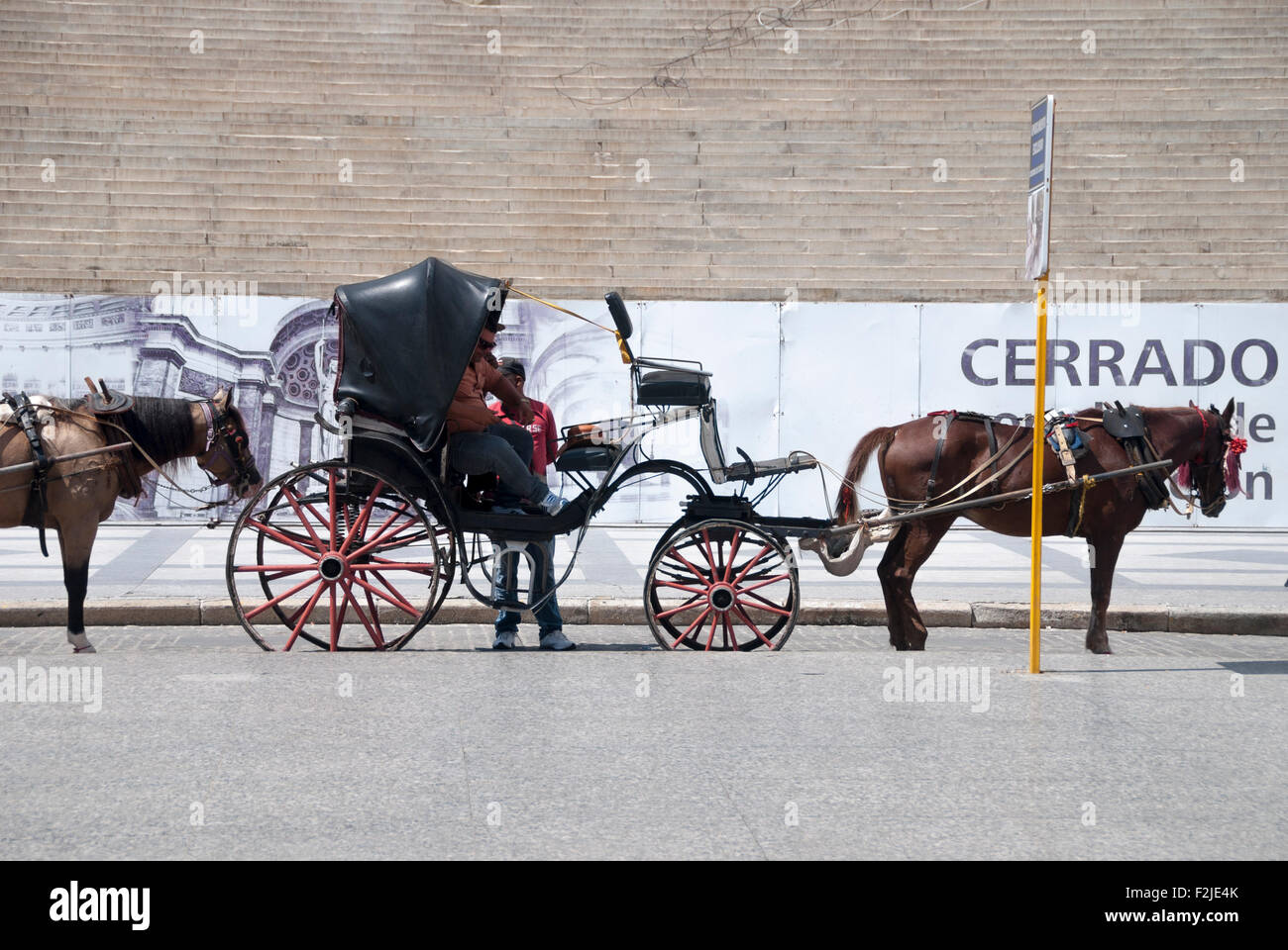 Horse drawn carriage handsome carriage hi-res stock photography and ...