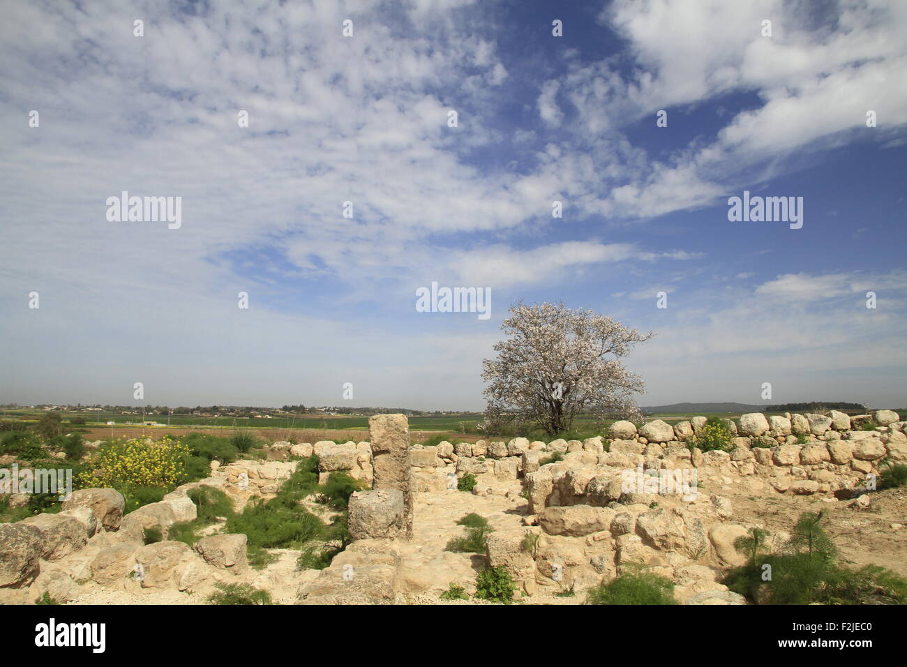 Israel, Tel Batash in the Shephelah, remain of a four room house at the ...