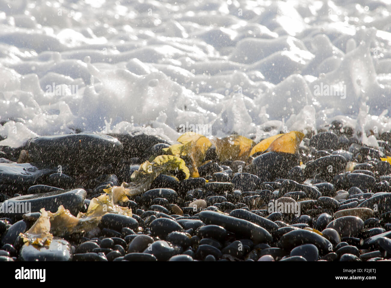 Bright sea foam washing up over pebbles and seaweed Stock Photo - Alamy