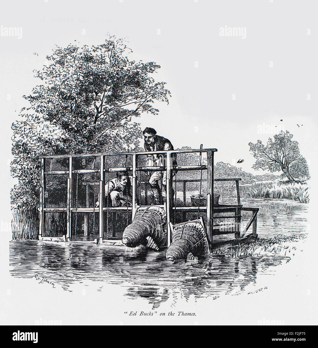 Ed Bucks on the Thames - Bells of Ousley Illustration from 'The British ...