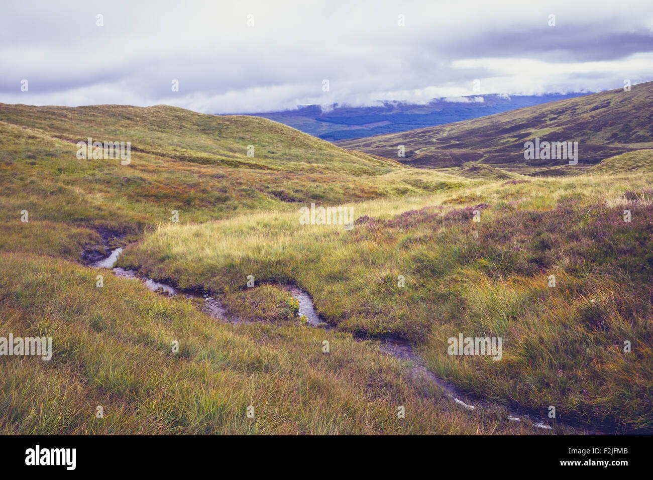 Grassy landscape with mountains Stock Photo - Alamy