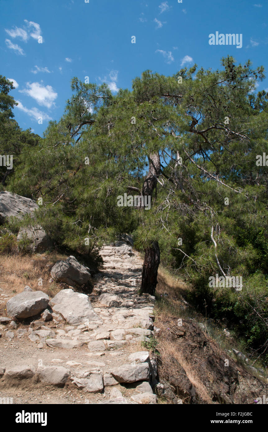 Fire pathway hi-res stock photography and images - Alamy