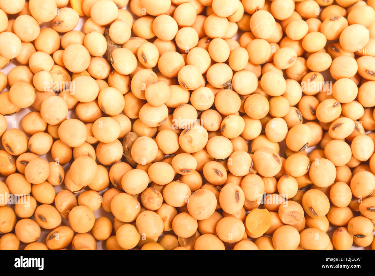 Lots of soybean background Stock Photo - Alamy