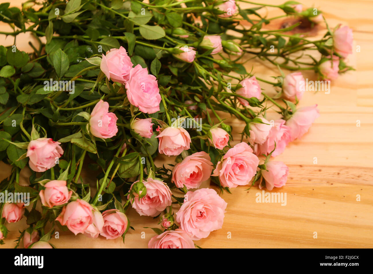 Bunch of small pink Roses Stock Photo - Alamy