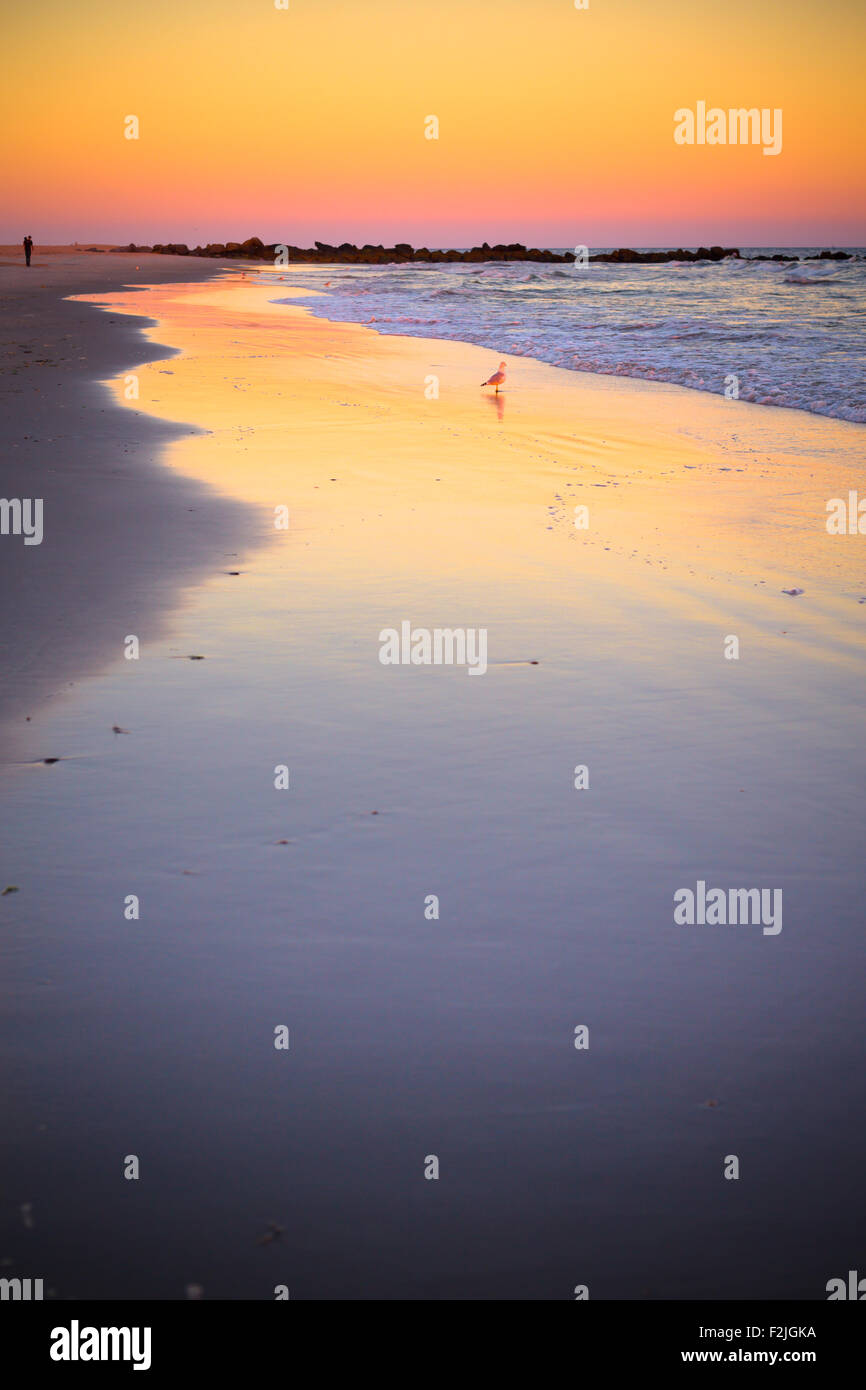 Beautiful Long Island beach seashore at sunset Stock Photo - Alamy