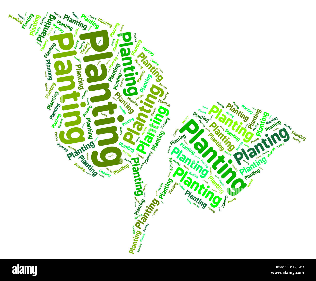 Planting Word Representing Cultivates Grow And Vegetation Stock Photo ...