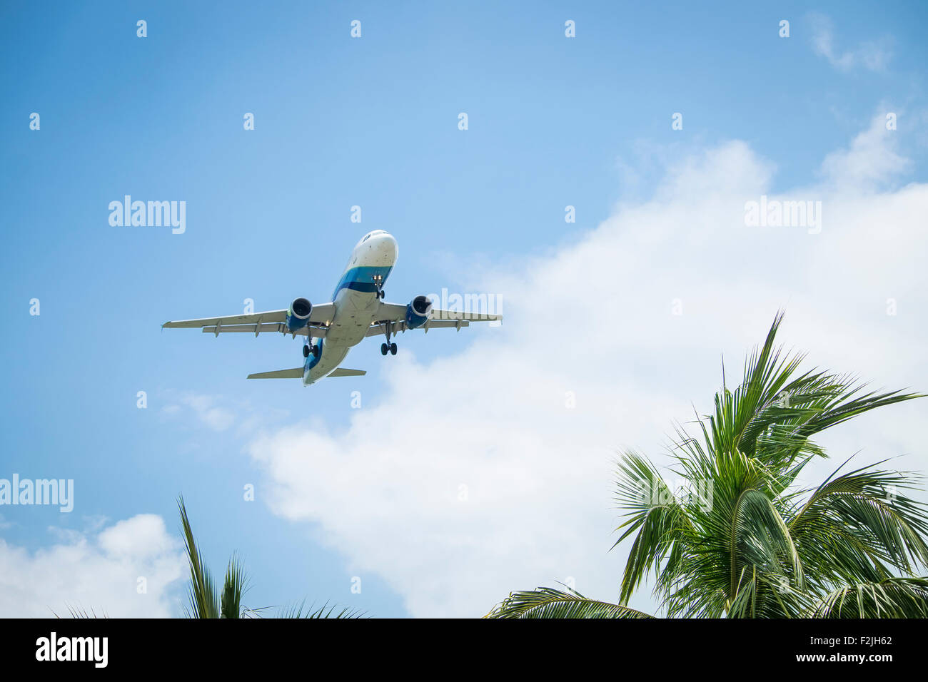 Passenger plane approaching at tropic destination Stock Photo - Alamy