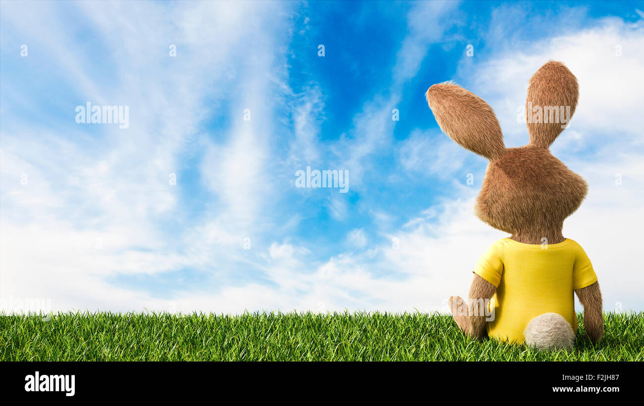 Bunny back view hi-res stock photography and images - Alamy