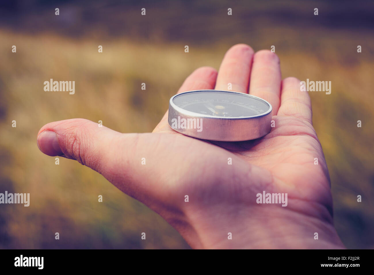 Hand with compass in wilderness Stock Photo - Alamy