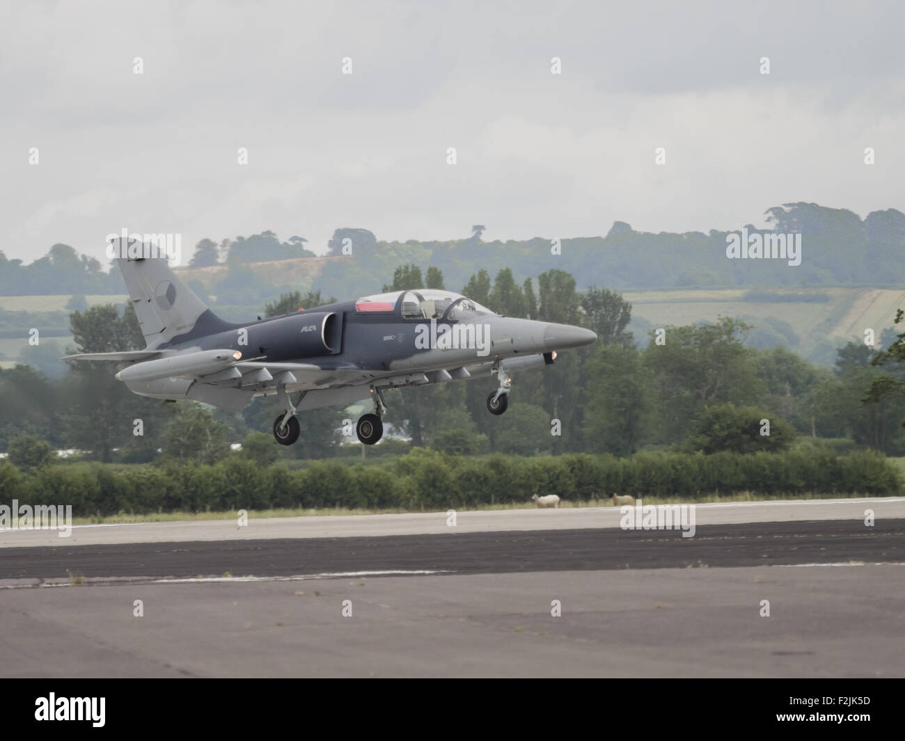 159 alca hi-res stock photography and images - Alamy