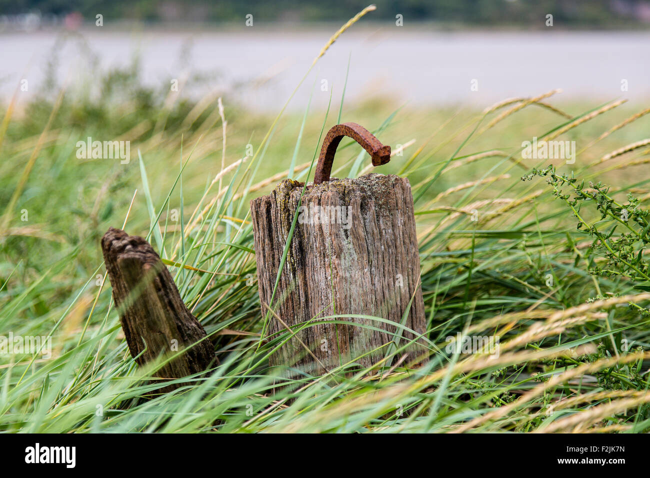 Abandoned boats at Purton ship graveyard on the bank of the river ...