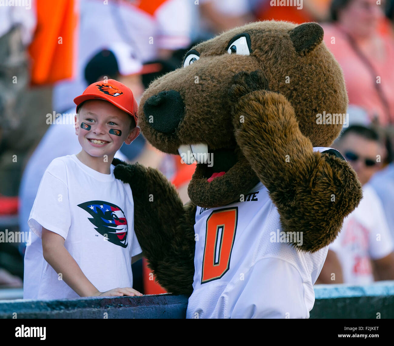 Benny beaver hi-res stock photography and images - Alamy