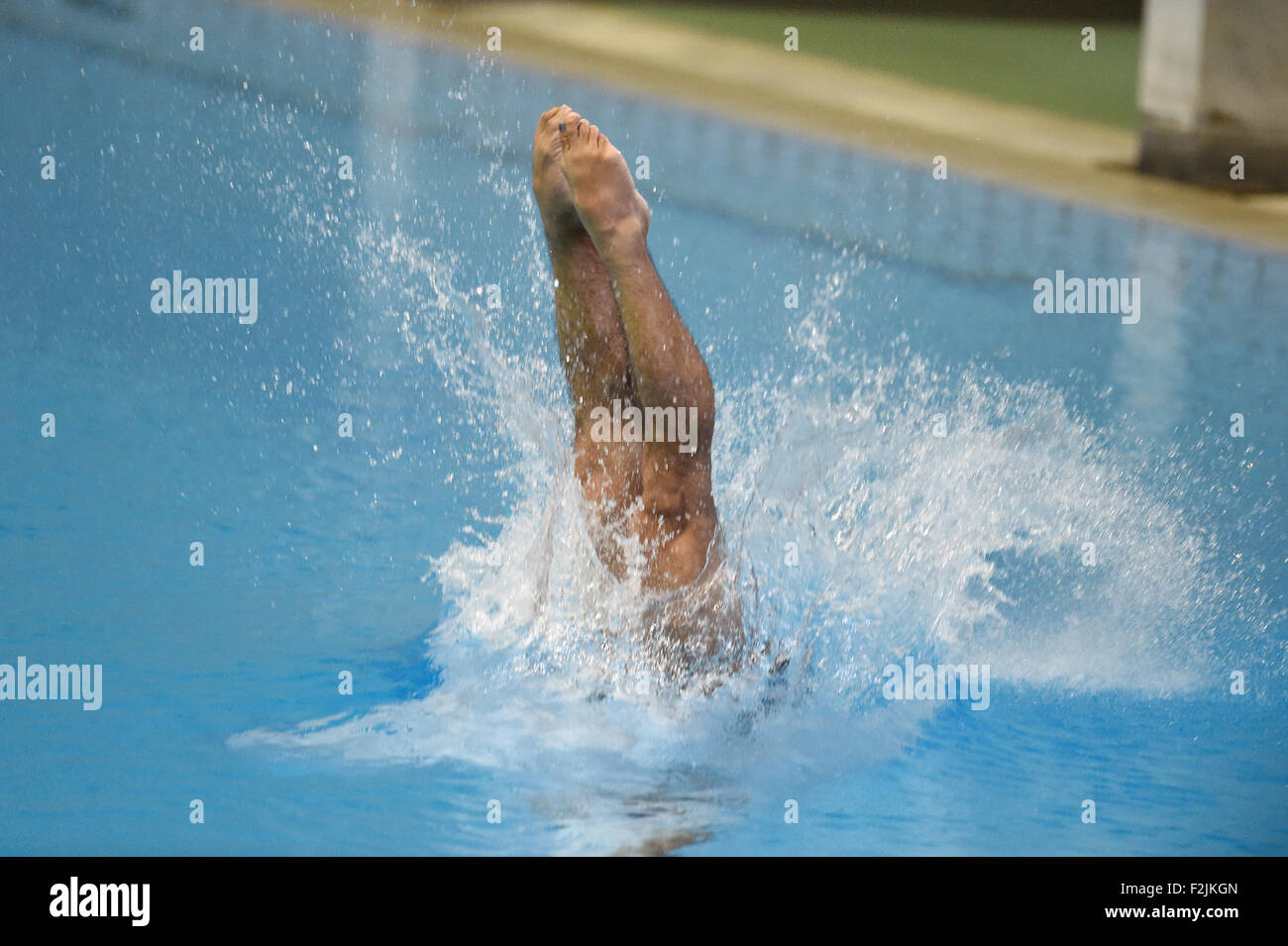 Tatsumi International Swimming Center, Tokyo, Japan. 19th Sep, 2015 ...