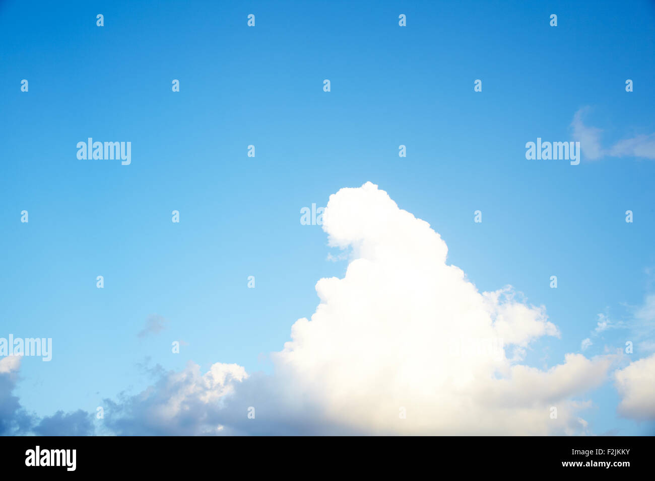 Nice shapes hi-res stock photography and images - Alamy