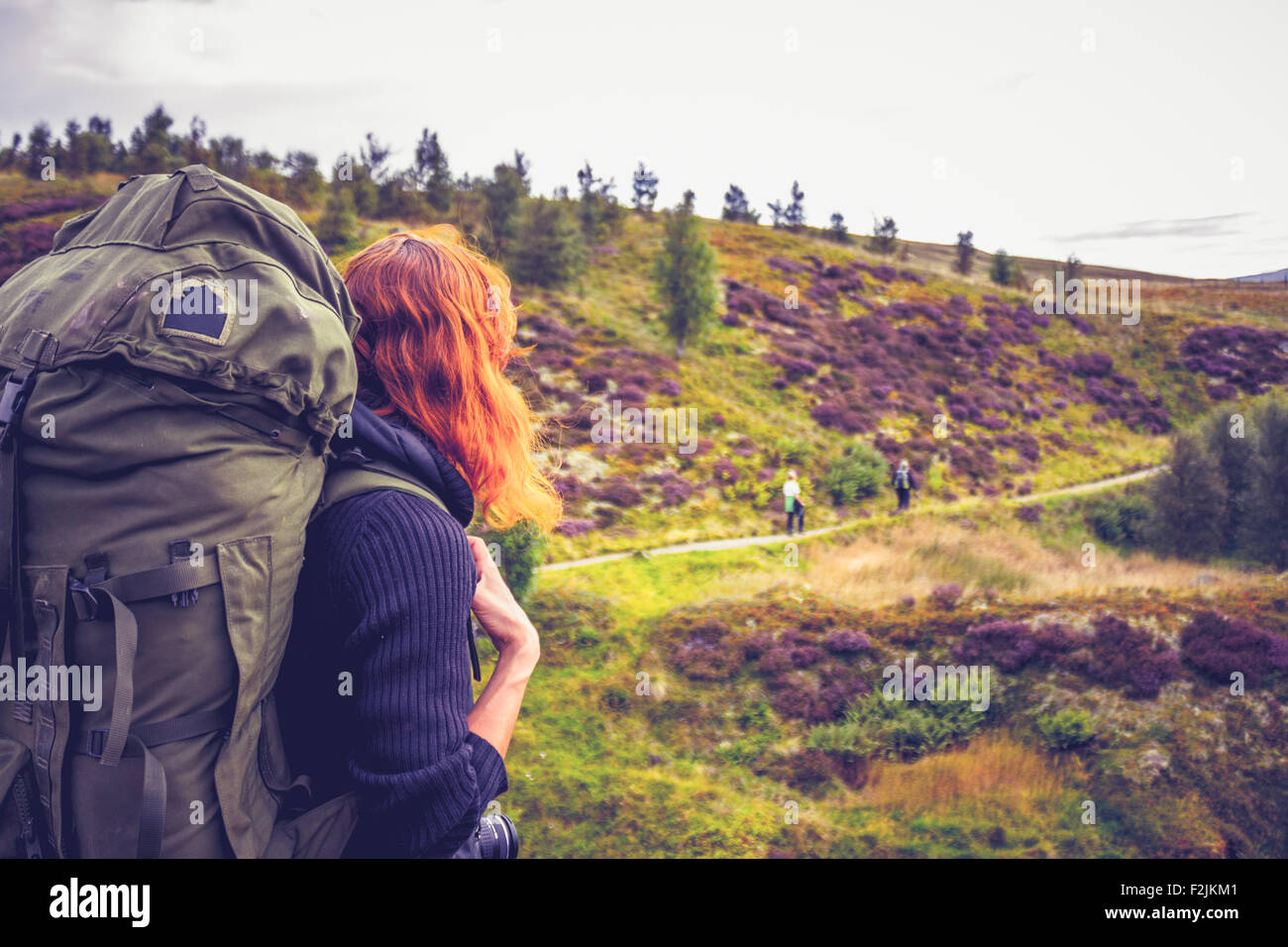 Woman hiking in the wilderness Stock Photo - Alamy