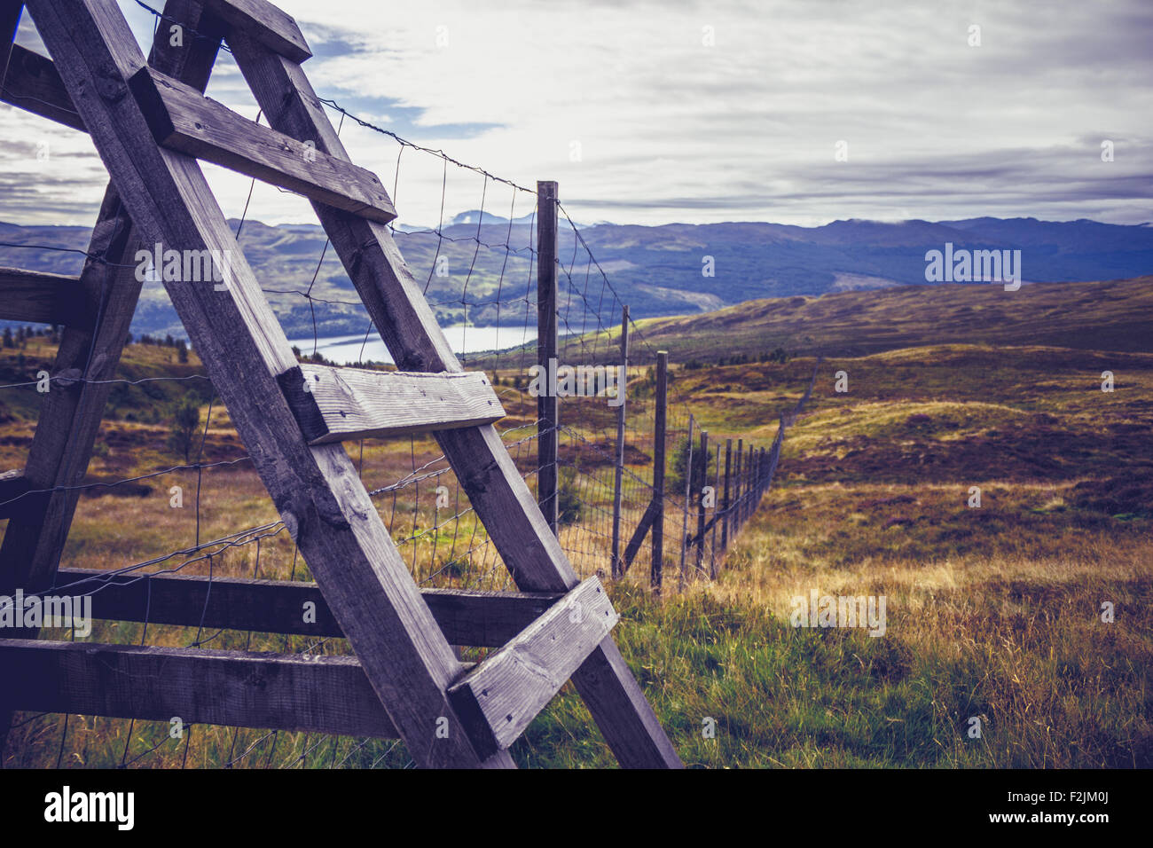 Fence and ladder in Scottish wilderness Stock Photo - Alamy