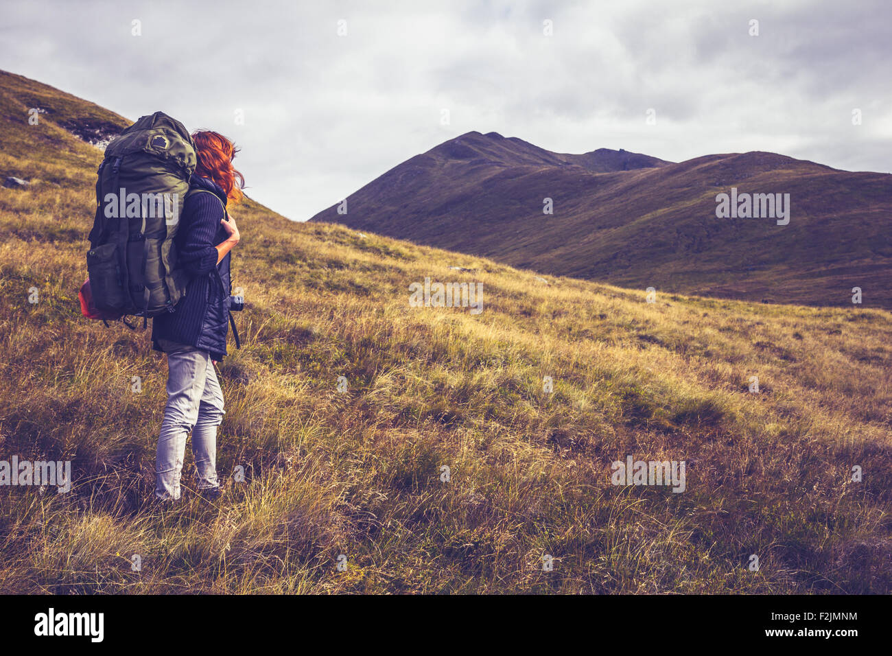 young woman backpacking through wilderness with mountains Stock Photo ...