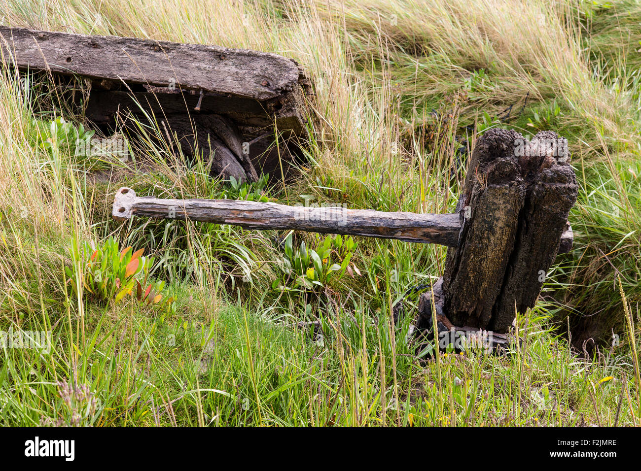Abandoned boats at Purton ship graveyard on the bank of the river ...