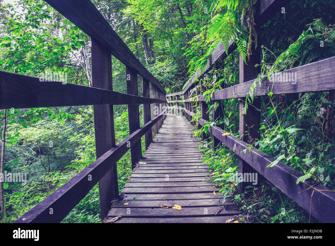 Bridge in nature hi-res stock photography and images - Alamy