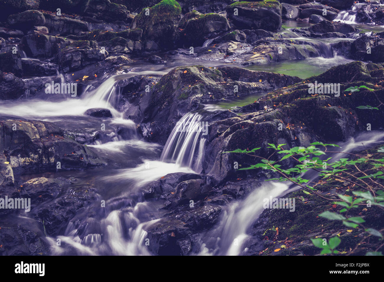 Water flowing on rocks in forest Stock Photo - Alamy