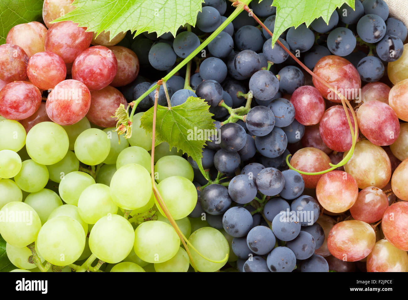 Bunch of colorful grapes with leaves Stock Photo - Alamy