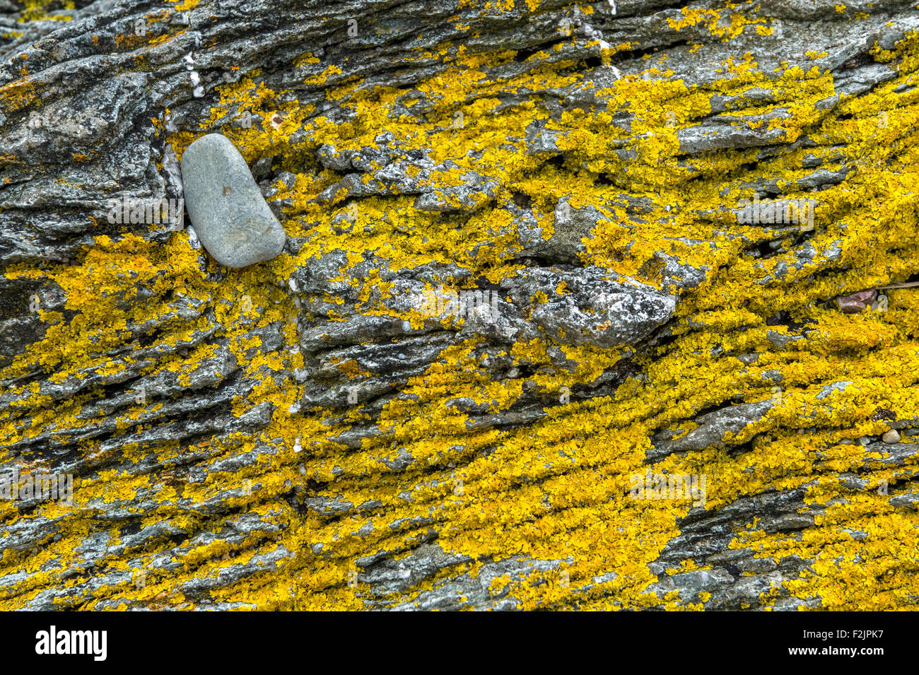 Patterns in Sedimentary Rock Stock Photo - Alamy