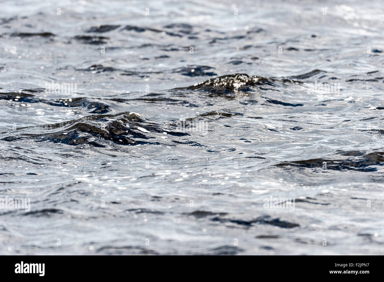 Windy lake hi-res stock photography and images - Alamy