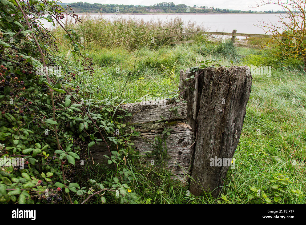 Abandoned boats at Purton ship graveyard on the bank of the river ...