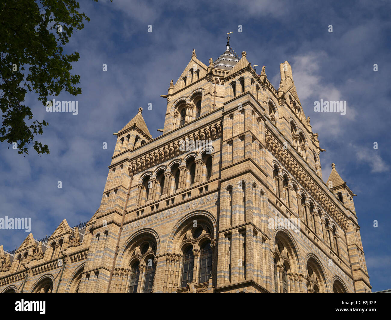 Outside of London's Natural History Museum Stock Photo - Alamy