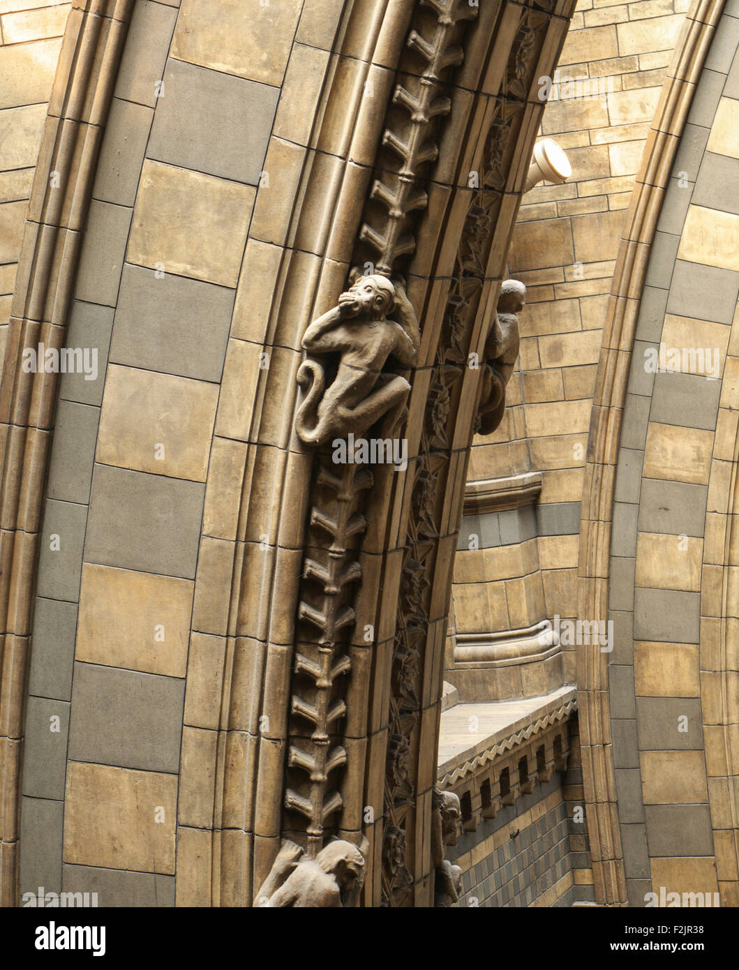 Decorative carving inside London's Natural History Museum Stock Photo ...